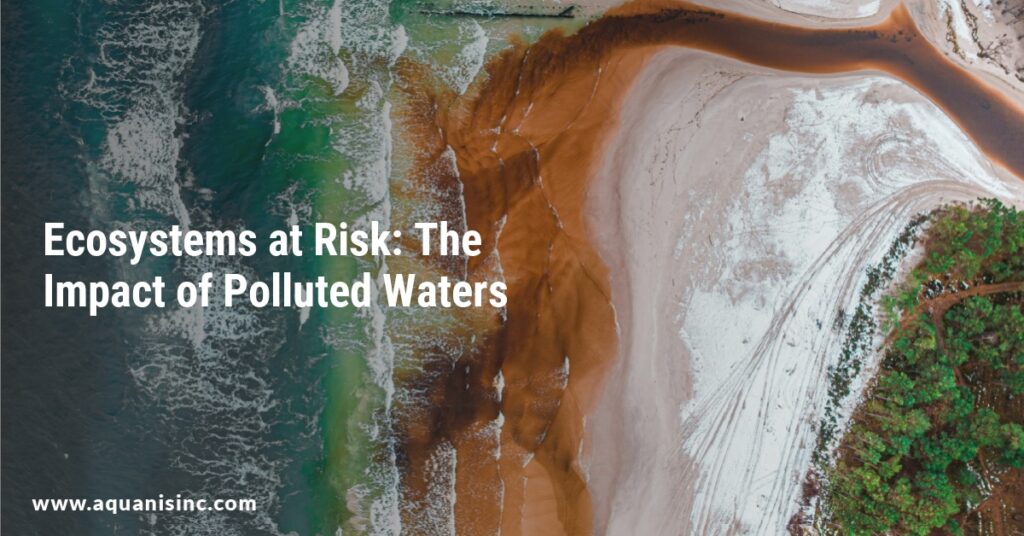Ecosystems at Risk: The Impact of Polluted Waters
